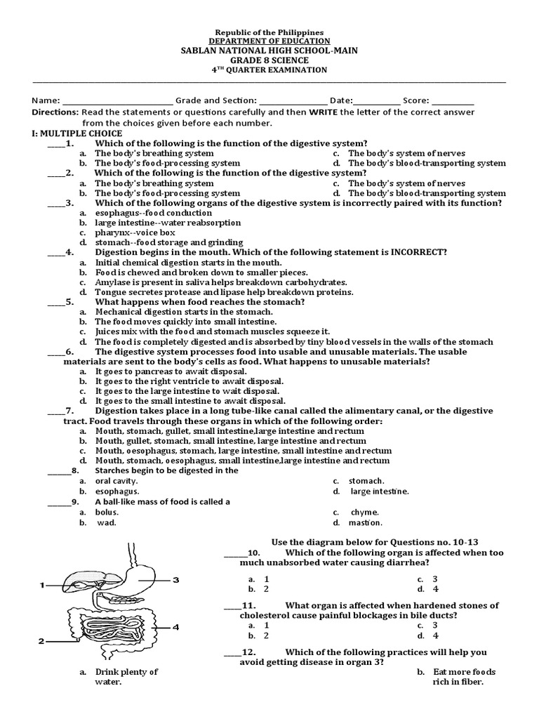 Grade 8 Science FOURTH Quarter Exam | PDF | Meiosis | Mitosis