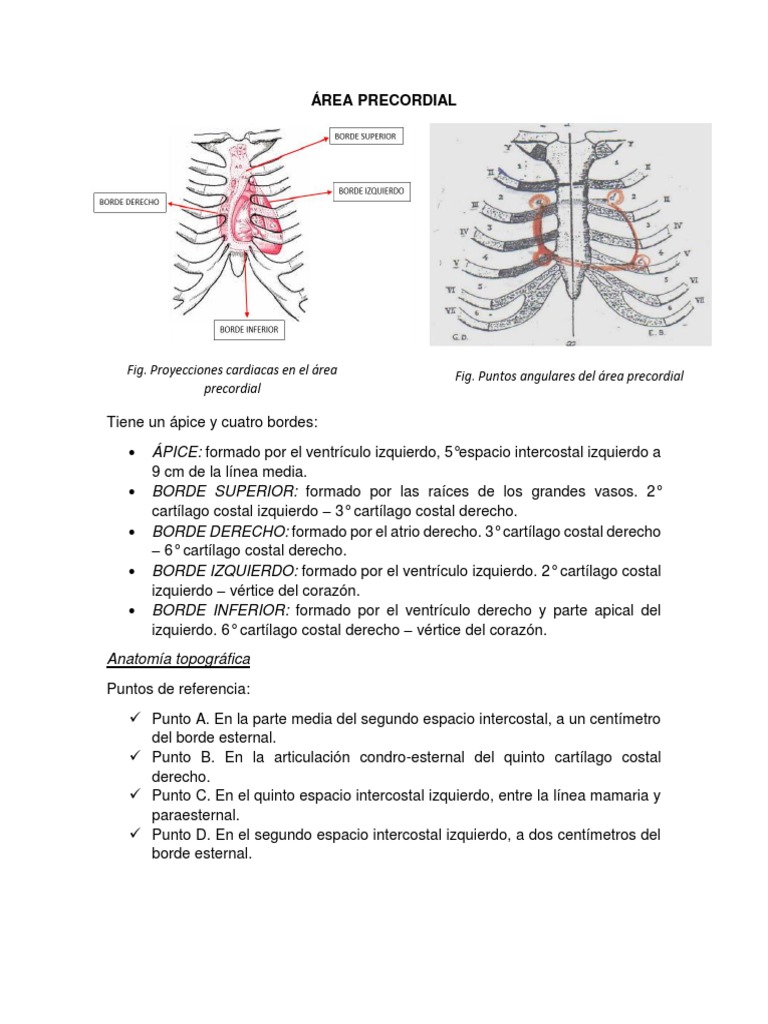 Área Precordial | PDF