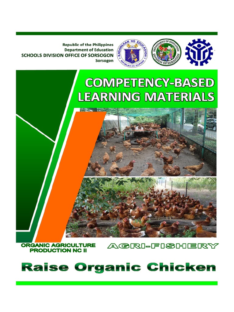 Module | PDF | Chicken | Paravians