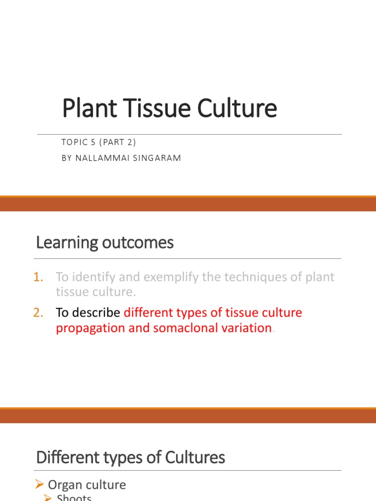 5B-Plant Tissue Culture PDF | PDF | Ploidy | Organisms
