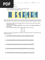 DNA Replication - Labeling | PDF