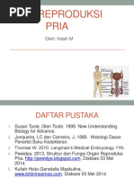 Perubahan Anatomi Dan Fisiologi Pada Pubertas | PDF