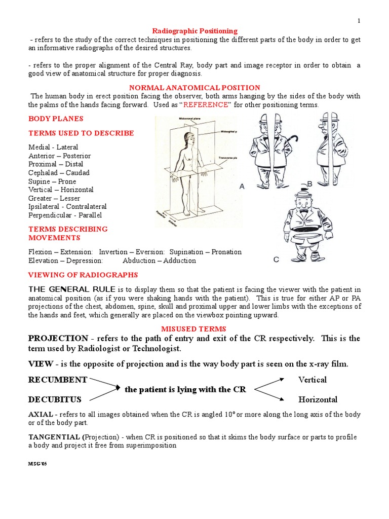 Rad Posi Prelim (Sir Mike) | PDF | Anatomical Terms Of Motion | Foot