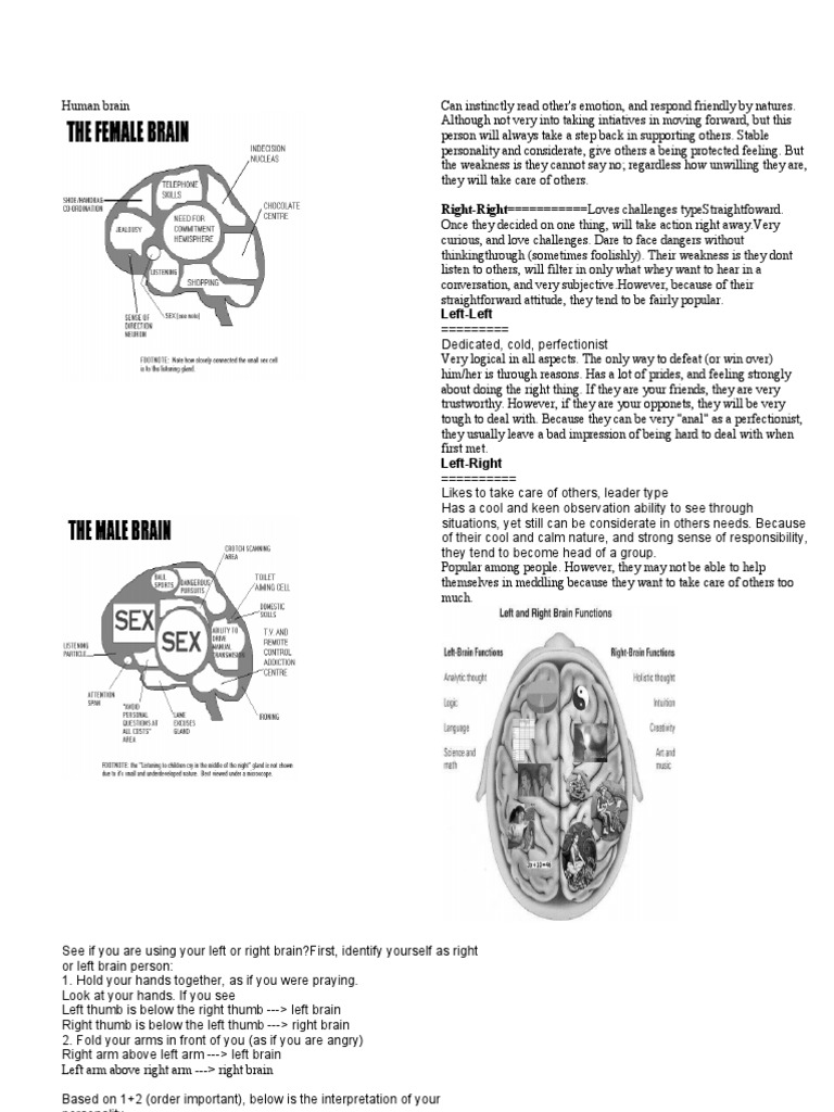Human Brain Words | PDF | Cerebrum | Thalamus
