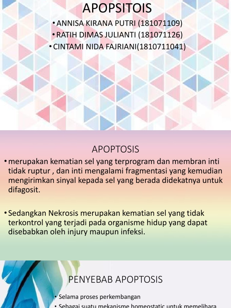 Apoptosis | PDF