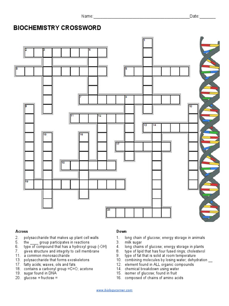 Biochemistry Crossword | PDF