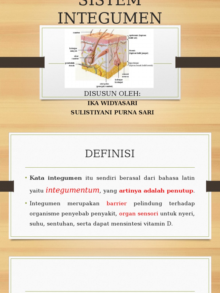 Sistem Integumen Manusia | PDF