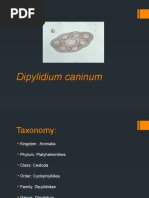 BOC 7th Edition | PDF