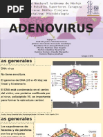 Fisiopatología de Las Infecciones Por Adenovirus | PDF | Adenoviridae | Nucleo celular