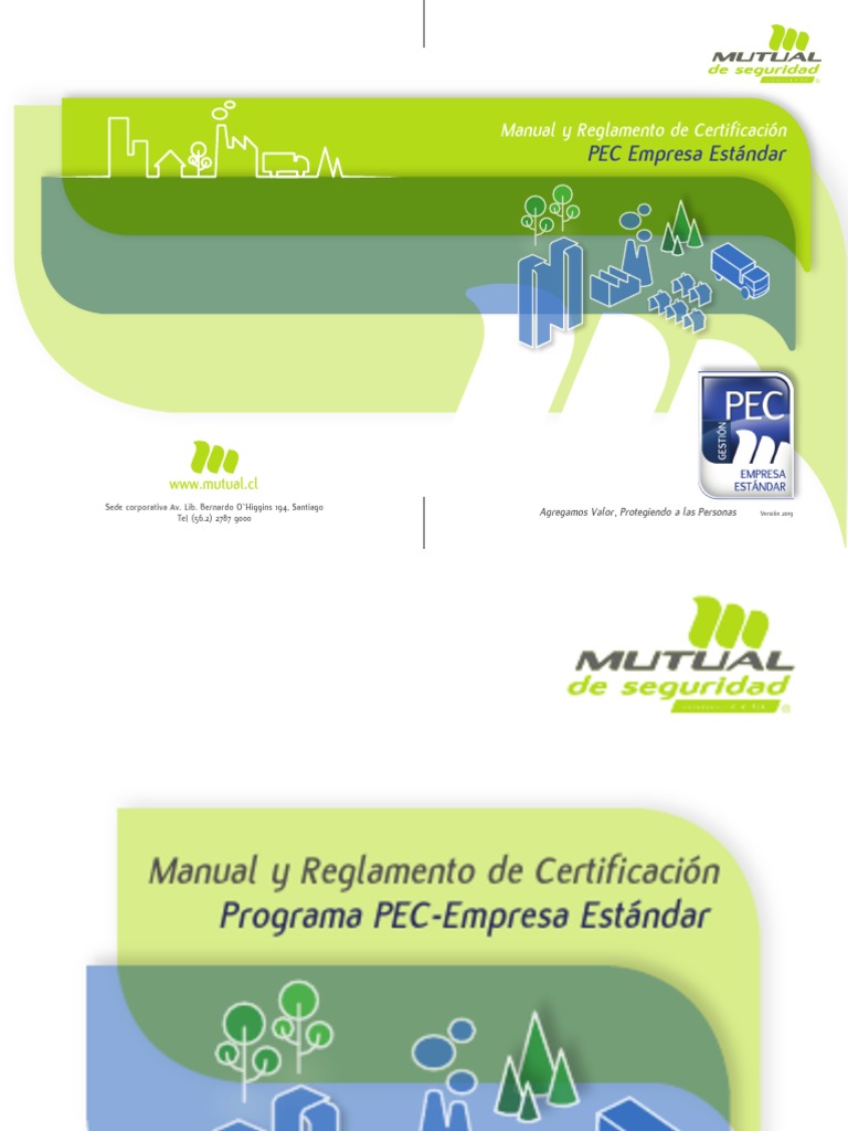 MANUAL PEC ESTANDAR v2019 | PDF | Planificación | Evaluación