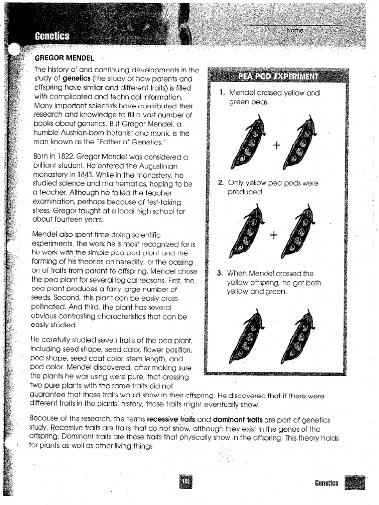 Gregor Mendel Article and Questions