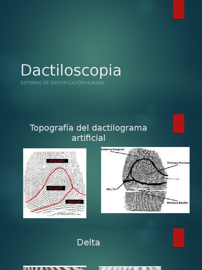 Dactilos | PDF