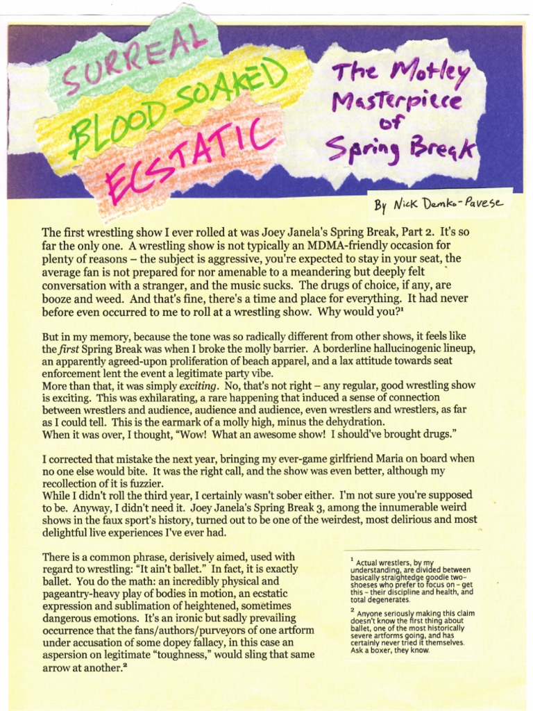 Spring Break Essay | PDF