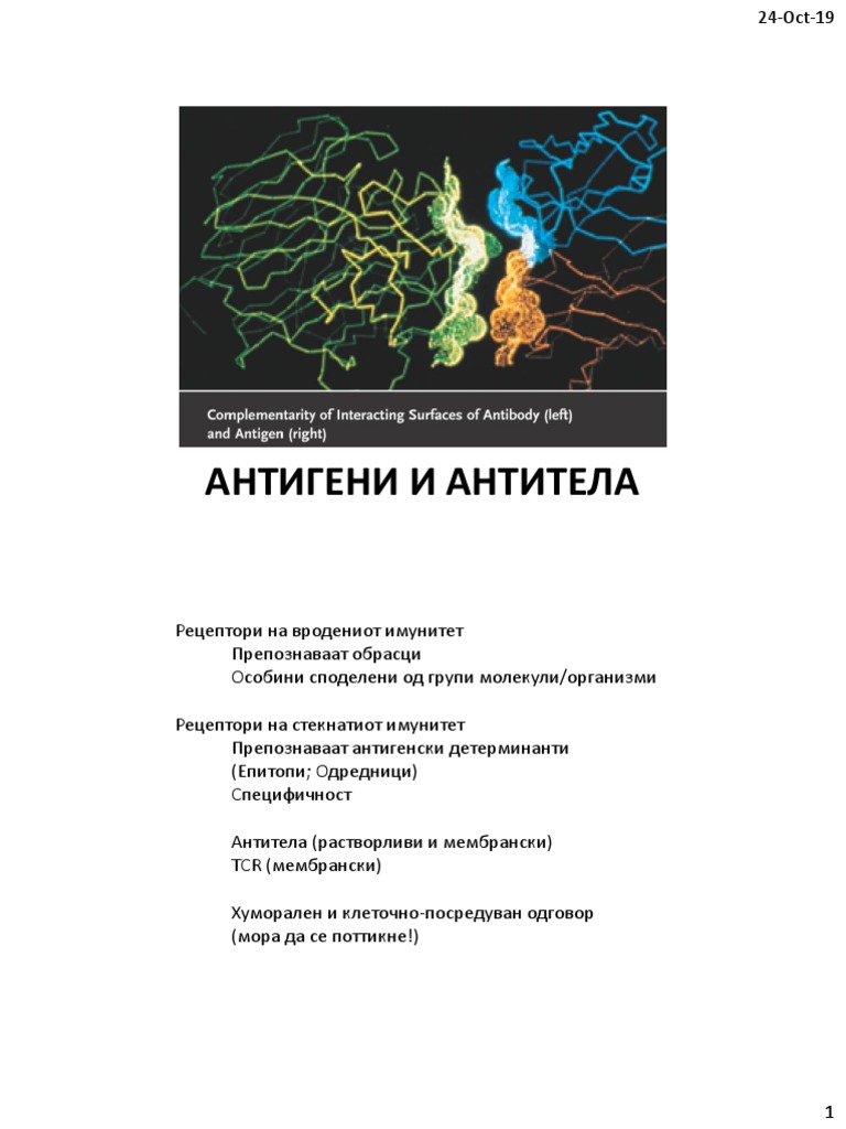 Antigeni I Antitela PDF | PDF