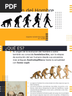 Dryopithecus | PDF | Hominidae | Homo Sapiens