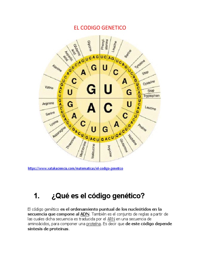 El Codigo Genetico | PDF | Codigo genetico | Genética