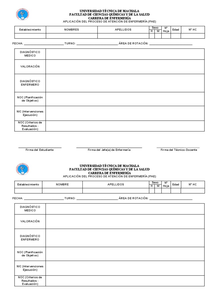 Formato Pae Pdf Enfermería Evaluación