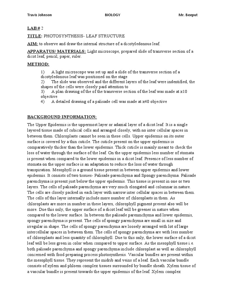Unit 2 Bio LAB2 | PDF | Leaf | Tissue (Biology)