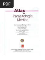 Atlas Micología | PDF | Aspergilo | Hongo