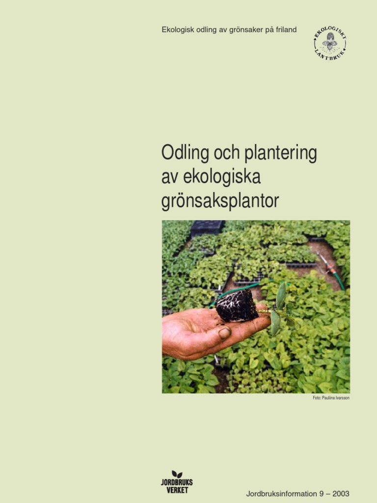Odling och plantering av ekologiska grönsaksplantor | PDF