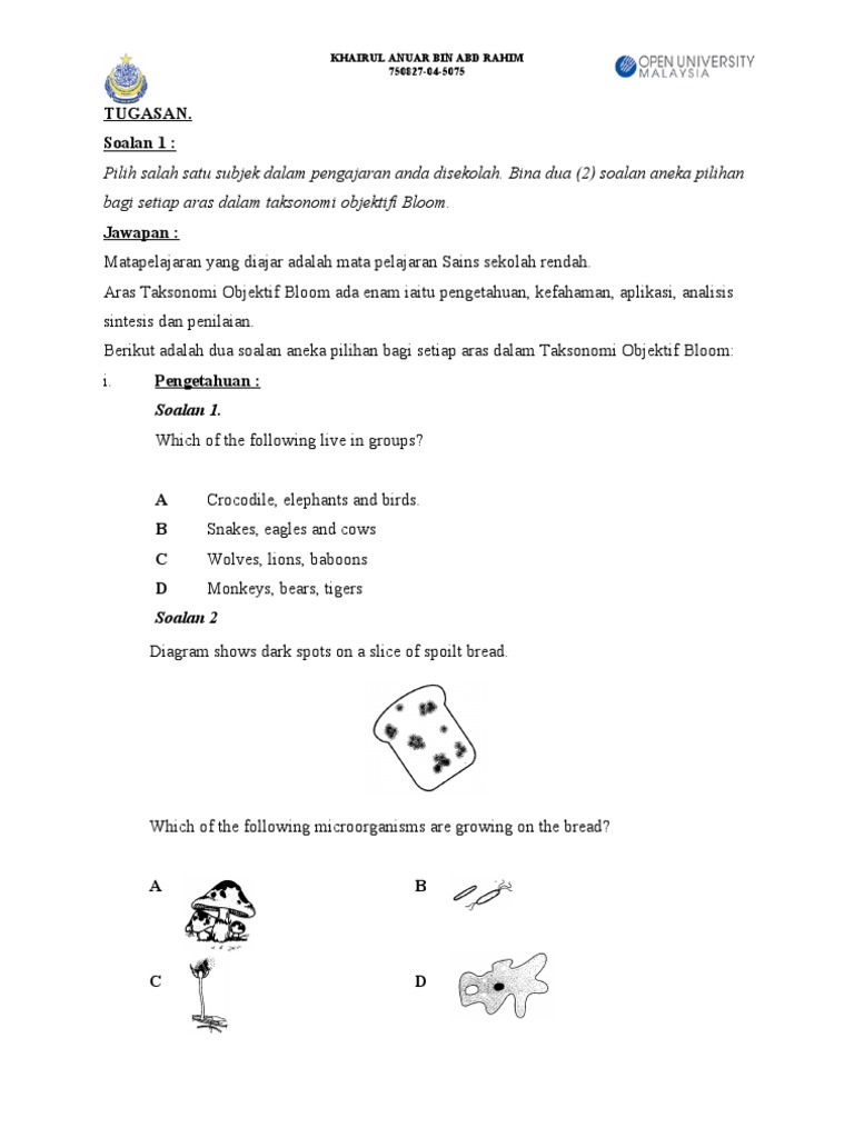 Final Assignment 2009 Hbef 3203 PP | PDF