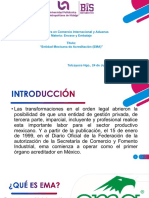 ¿Qué Es Ema - Ema PDF | PDF | México | Calidad (comercial)