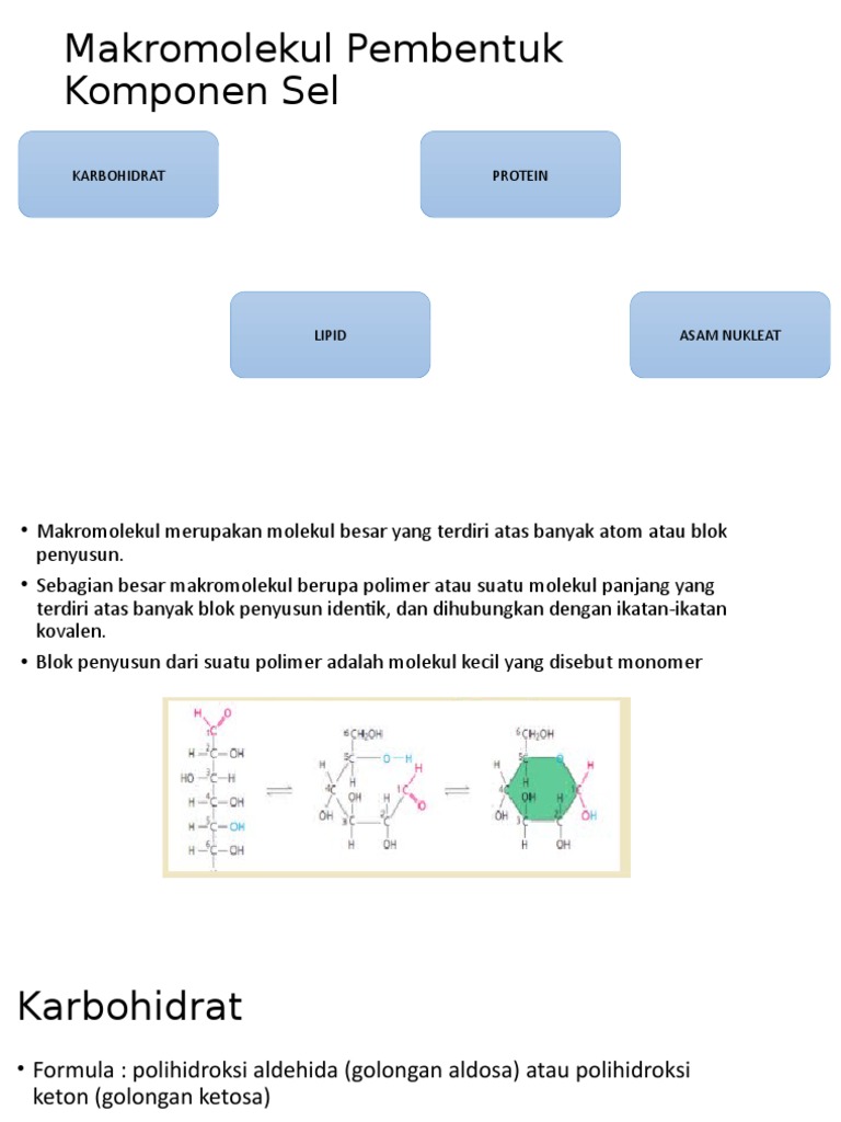 Makromolekul Sel: Karbohidrat, Lipid, Protein, Asam Nukleat | PDF