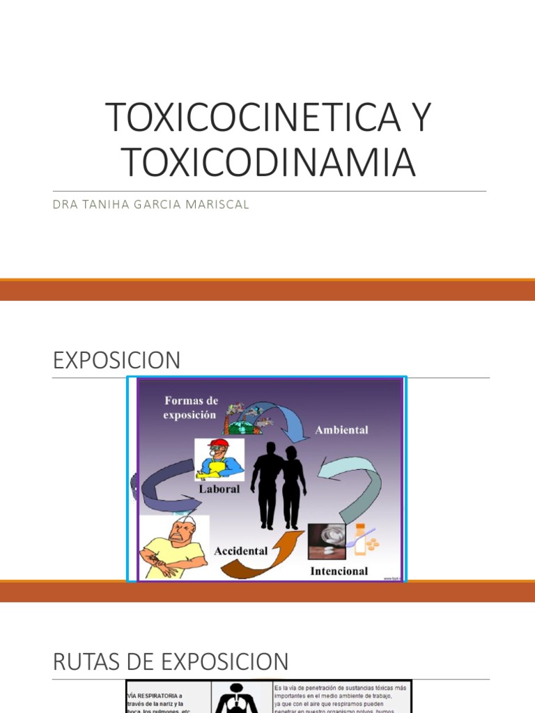 TOXICOCINETICA Y TOXICODINAMIA | Biotransformación | Toxicidad