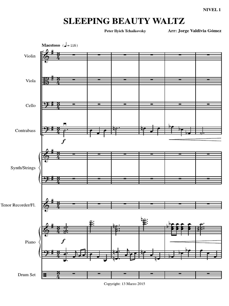 SLEEPING BEAUTY WALTZ - Score | PDF | String Instruments | Classical ...