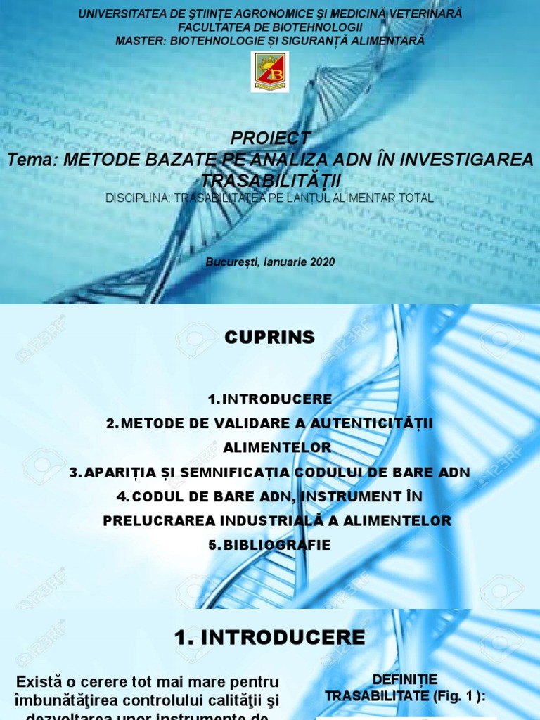 Proiect Trasabilitate | PDF