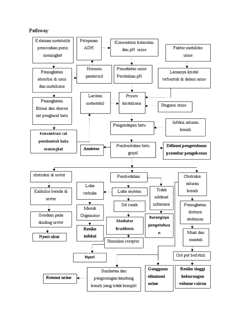Pathway BSK-1-1 | PDF