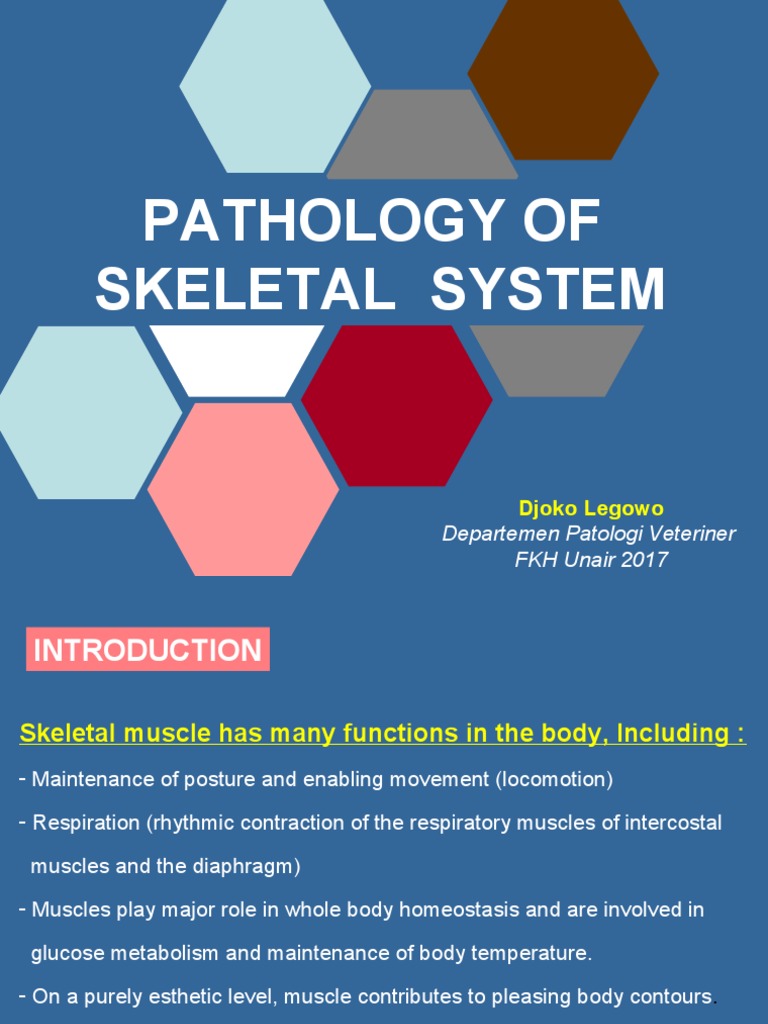 Skeletal System Pathology Overview | PDF | Myocyte | Skeletal Muscle