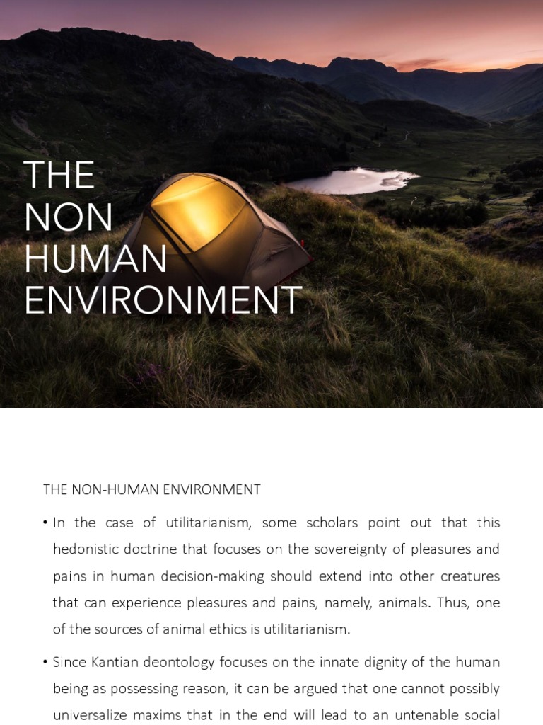 Ethics - Non Human Environment | PDF