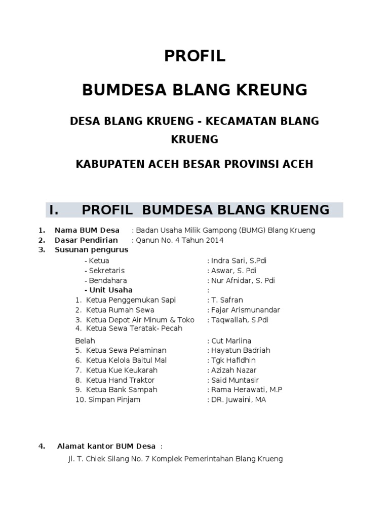Contoh Pengisian Profil Bumdesa | PDF