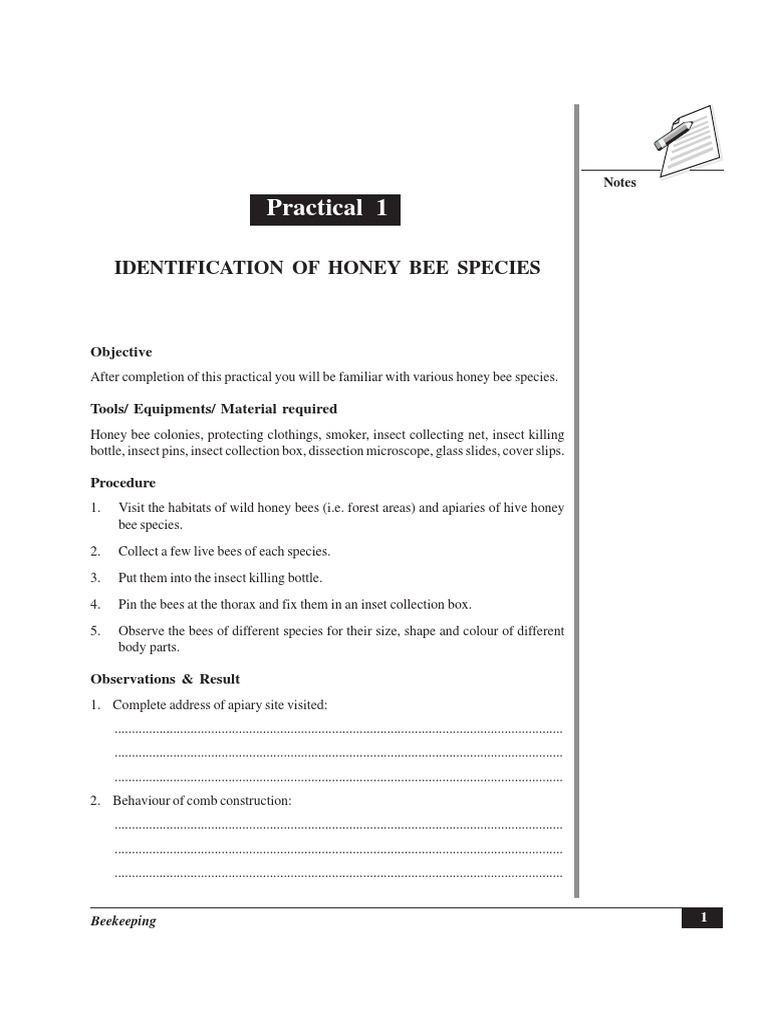 Beekeeping Practical | PDF | Beehive | Beekeeping