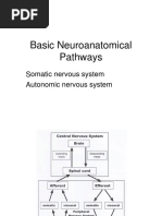 Motor Assessment Scale | PDF | Anatomical Terms Of Motion | Joints