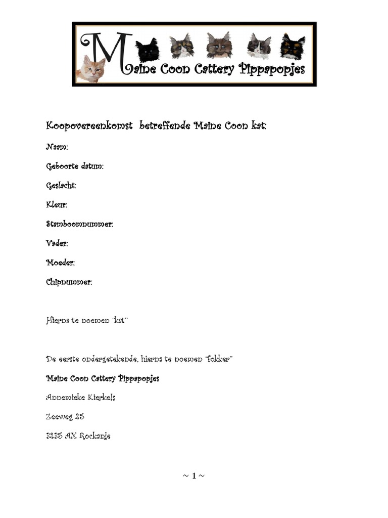 Koopovereenkomst | PDF