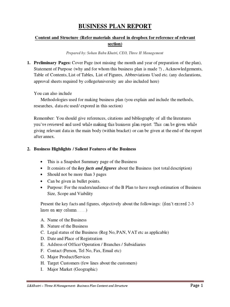 Business Development Plan PDF | PDF | Revenue | Cash Flow Statement