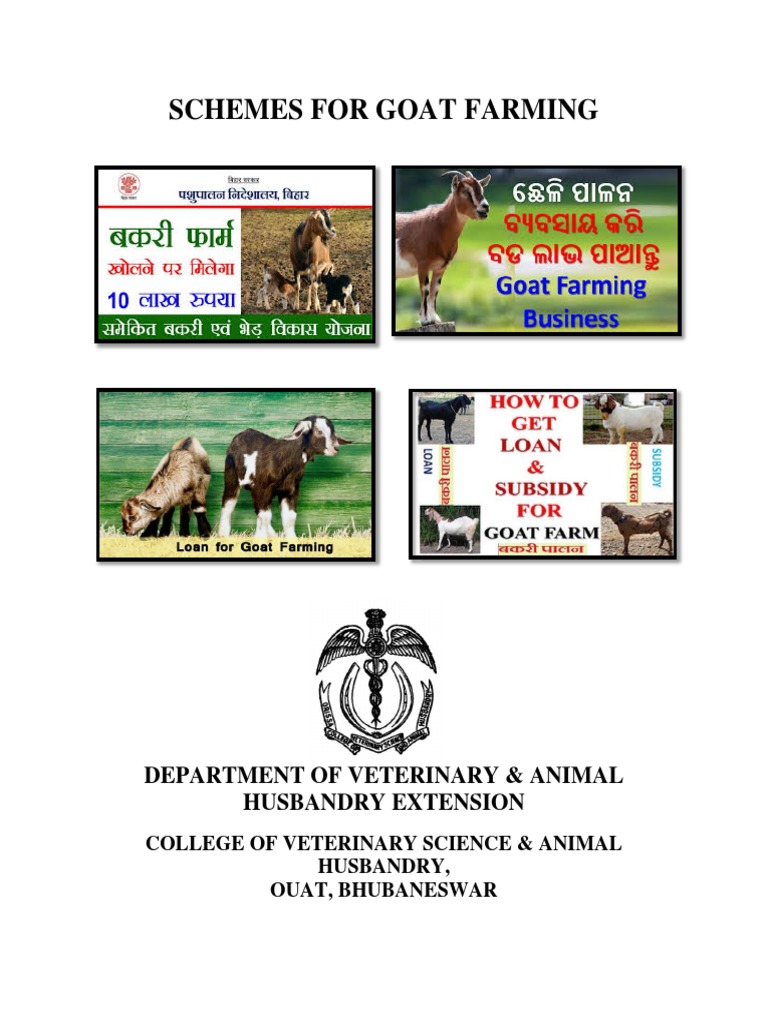 Schemes For Goat Farming | PDF | Livestock | Agriculture