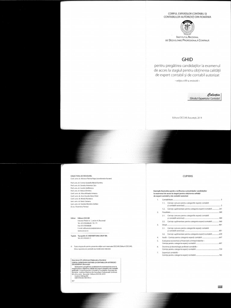 Ghid Acces 2019 CECCAR PDF | PDF