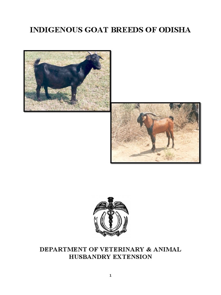 Name-Jyotisundar Rout, Admno-29v, Goat Breeds of Odisha | PDF | Goat ...