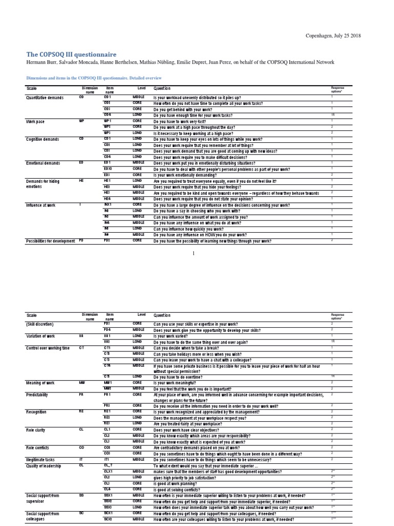 COPSOQ III Questionnaire 060718 | PDF | Action (Philosophy) | Behavioural Sciences