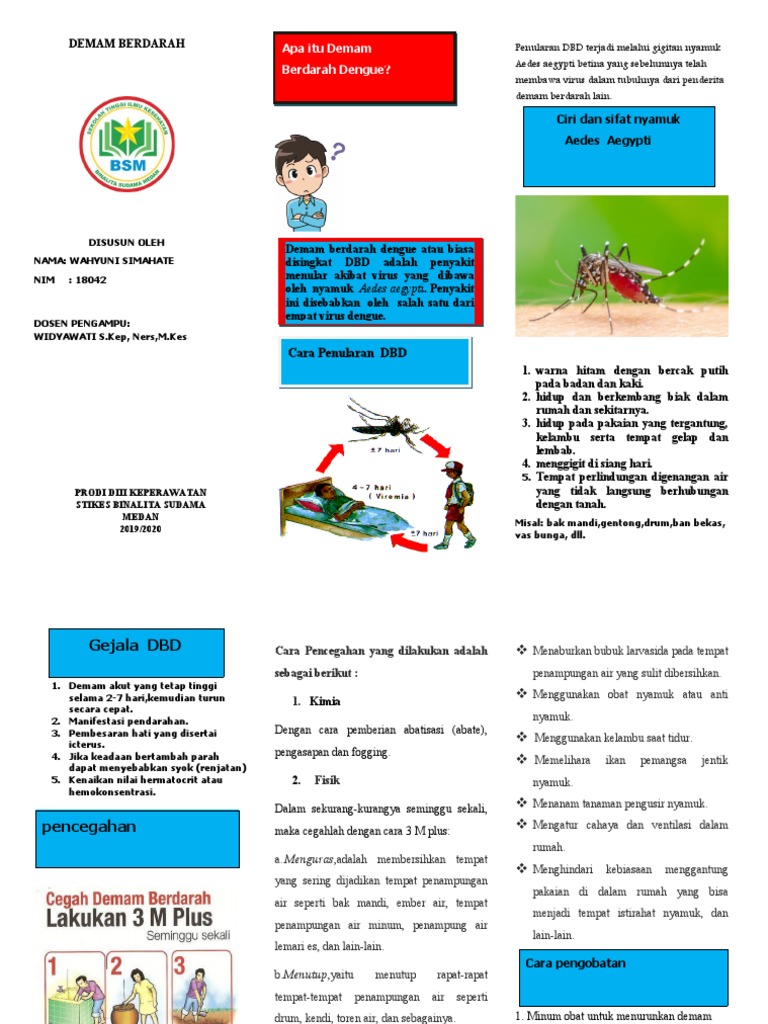 Leaflet DEMAM BERDARAH (Promkes) | PDF