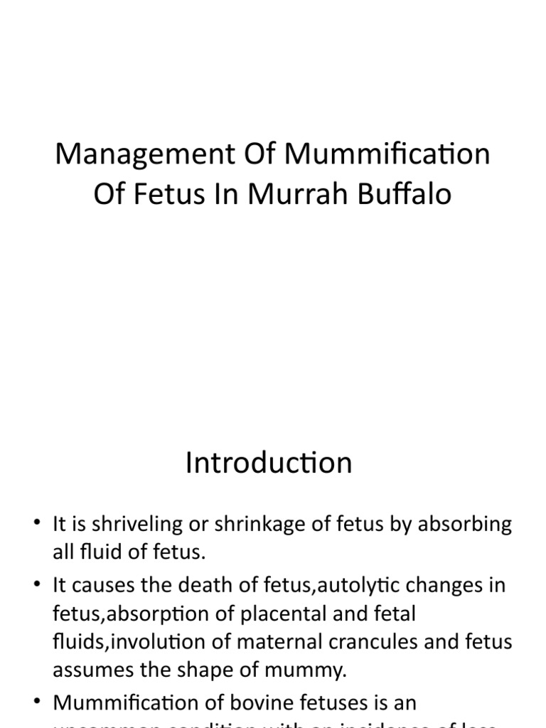 Mummification | PDF | Fetus | Uterus