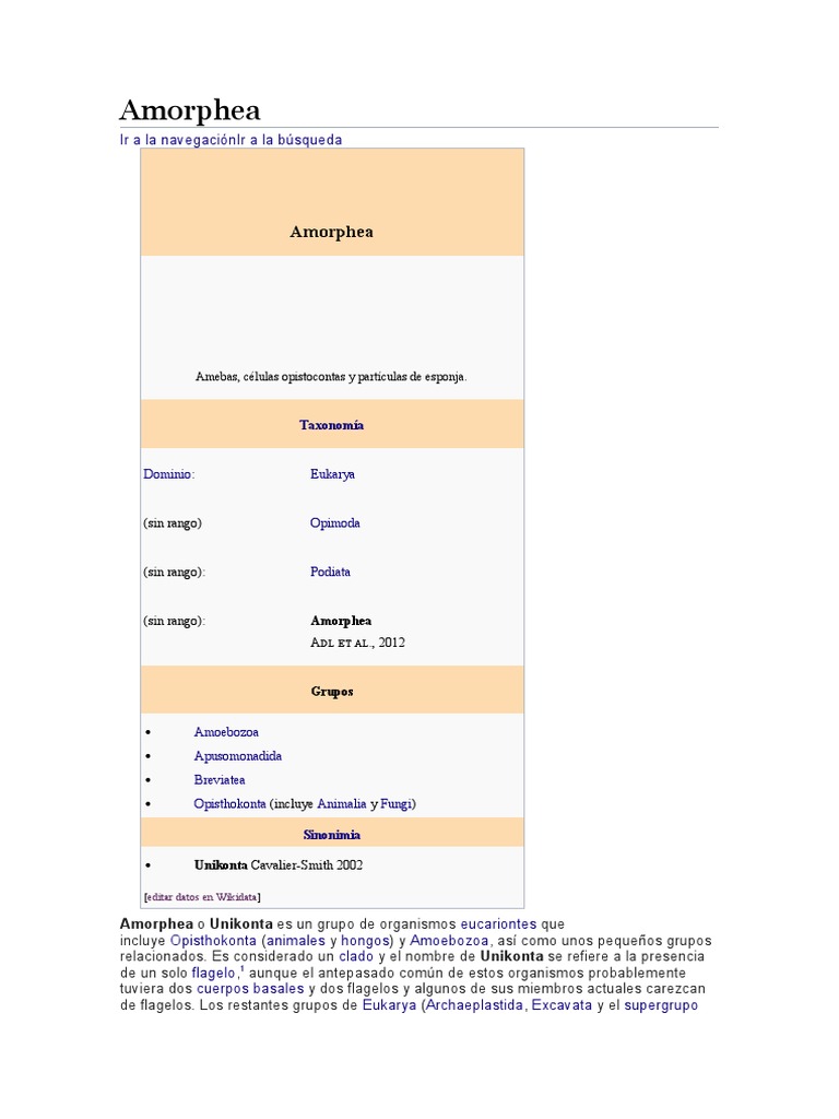 Amorphea | PDF | Eucariotas | Taxa