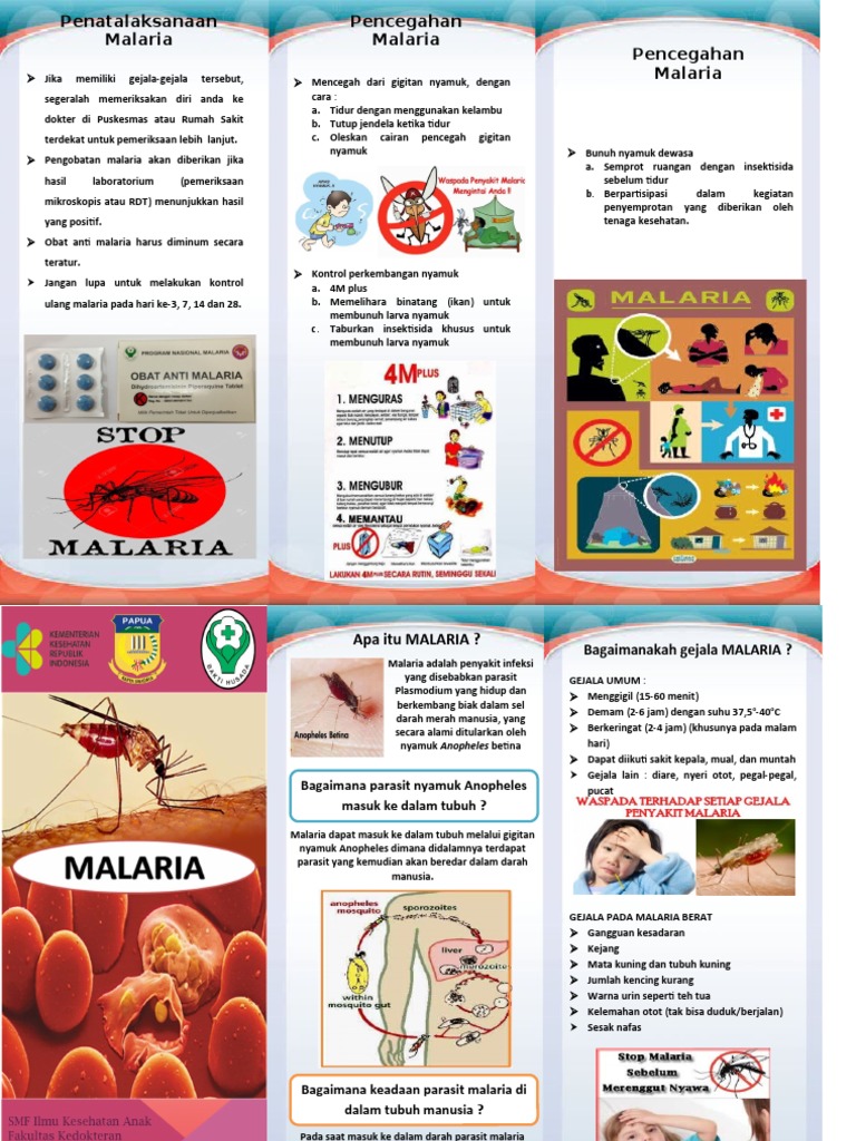 Brosur Malaria | PDF