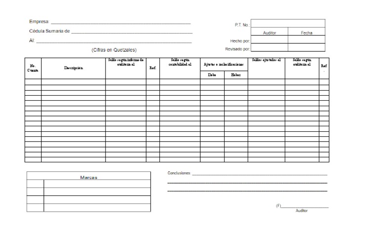 Formato Cedula Sumaria | PDF