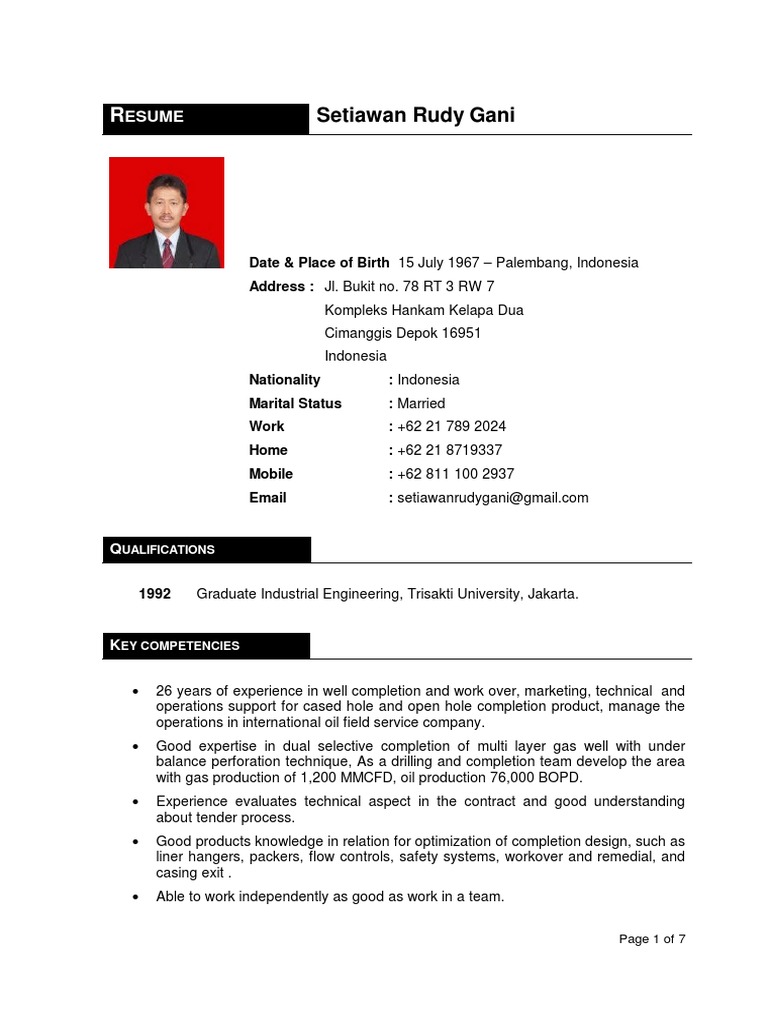 CV Rudy Gani | PDF | Casing (Borehole) | Oil Well
