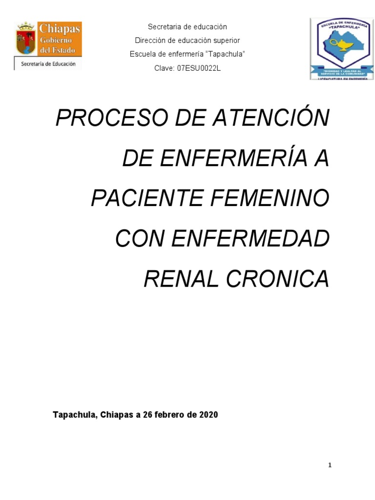 Pae ERC | PDF | Enfermería | Riñón