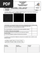 Tropismo en Plantas | PDF | Ligero | Science